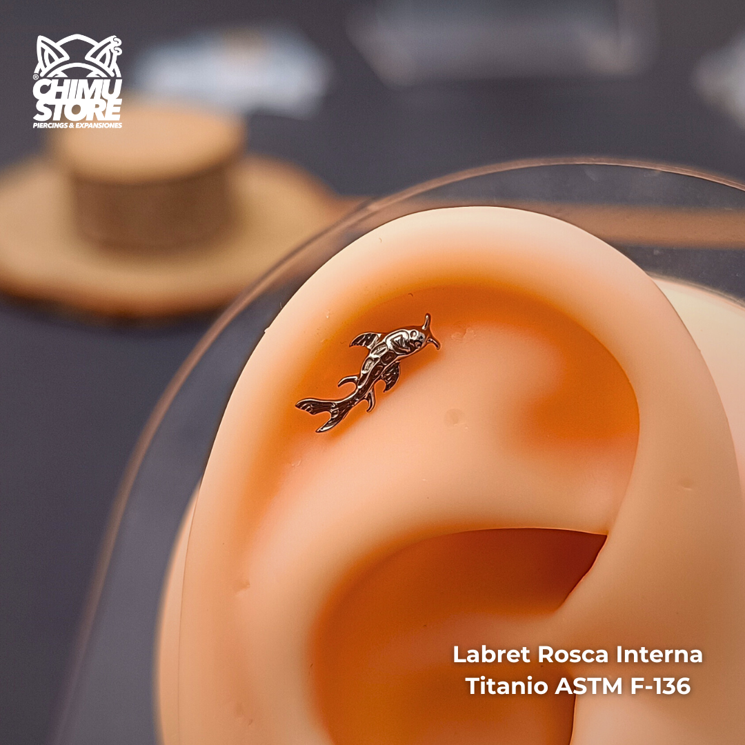 Labret Titanio ASTM F-136 - Pez Koi (1,2mm;8mm) (16G) · Chimu Store Chile